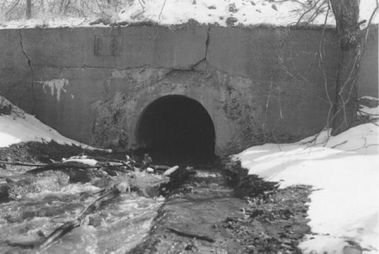 Mesabi's Vision, Values, History and Leadership